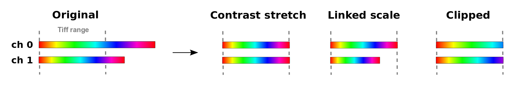 TIFF | Scientific Volume Imaging