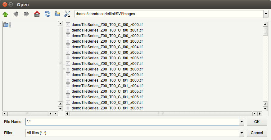 FileSeriesTool | Scientific Volume Imaging