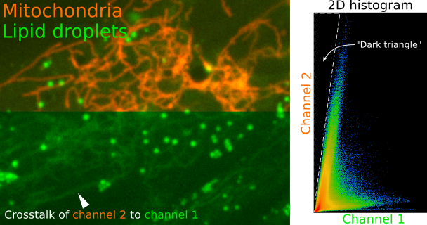 CrossTalk | Scientific Volume Imaging